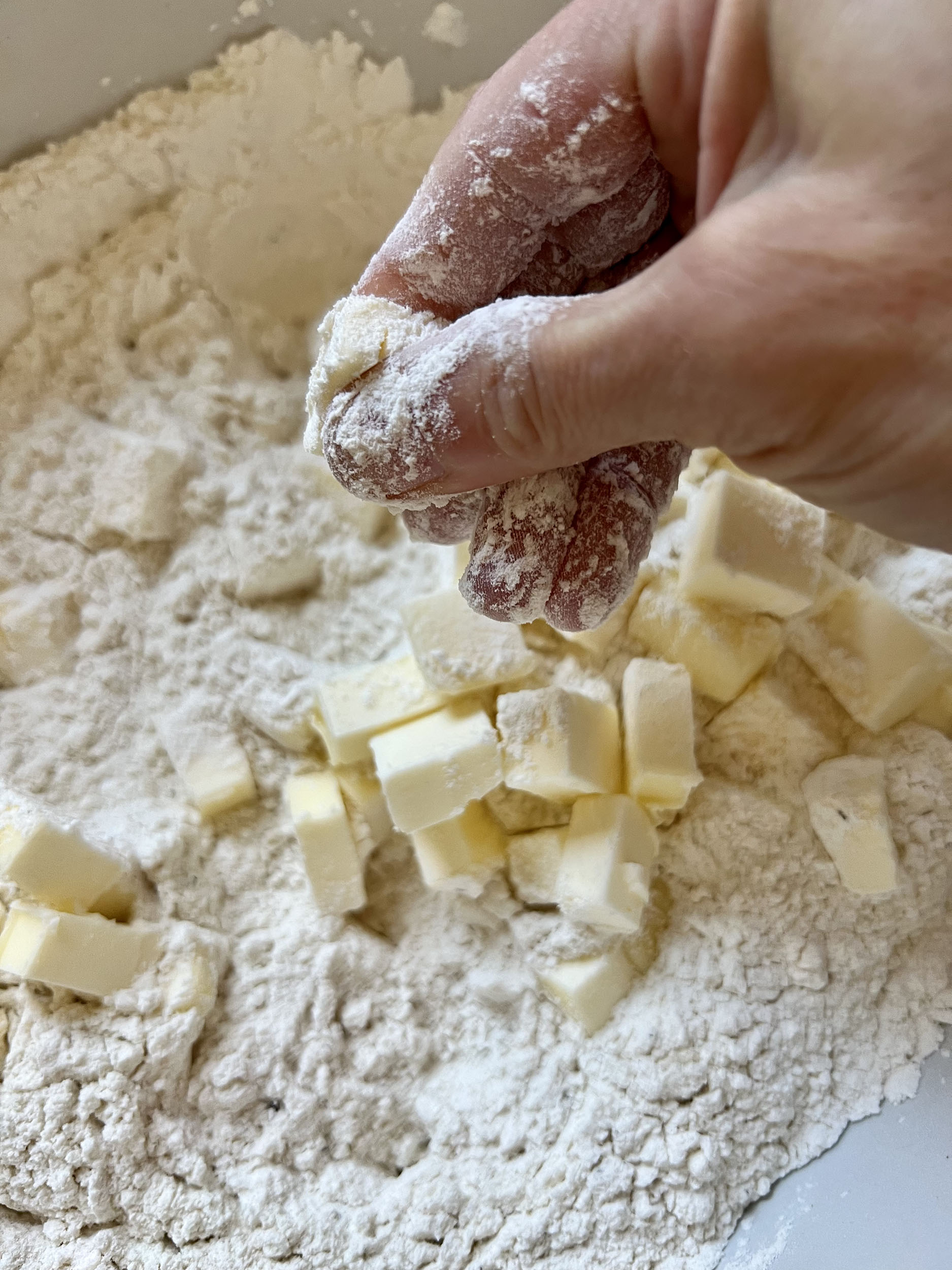Stuffing Biscuits » Djalali Cooks Biscuits for Thanksgiving